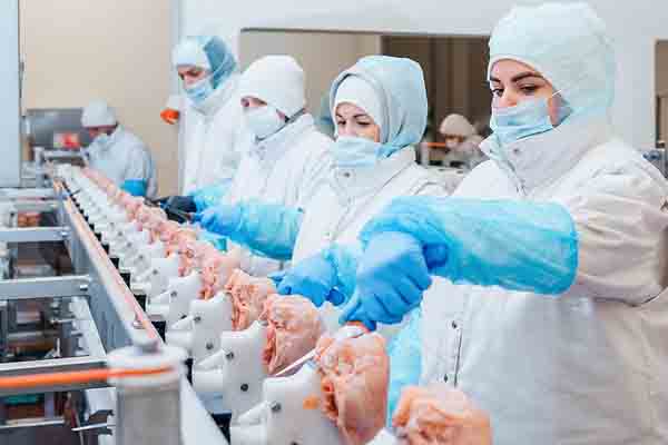 Sensors & Their Application in Food Processing Industries – Food ...