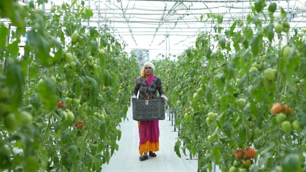 Eeki Plans Expansion into Indian States Madhya Pradesh, Maharashtra ...